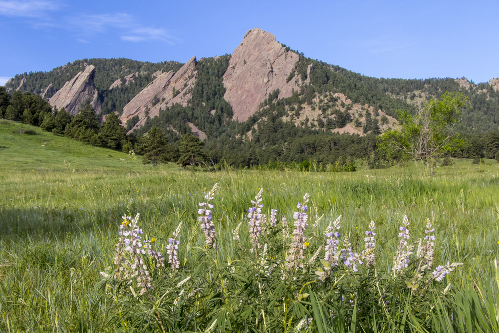 Chautauqua Communities: What They Are And Why You Should Visit