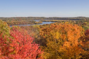 The Most Scenic Wisconsin Fall Foliage Road Trip | TravelAwaits