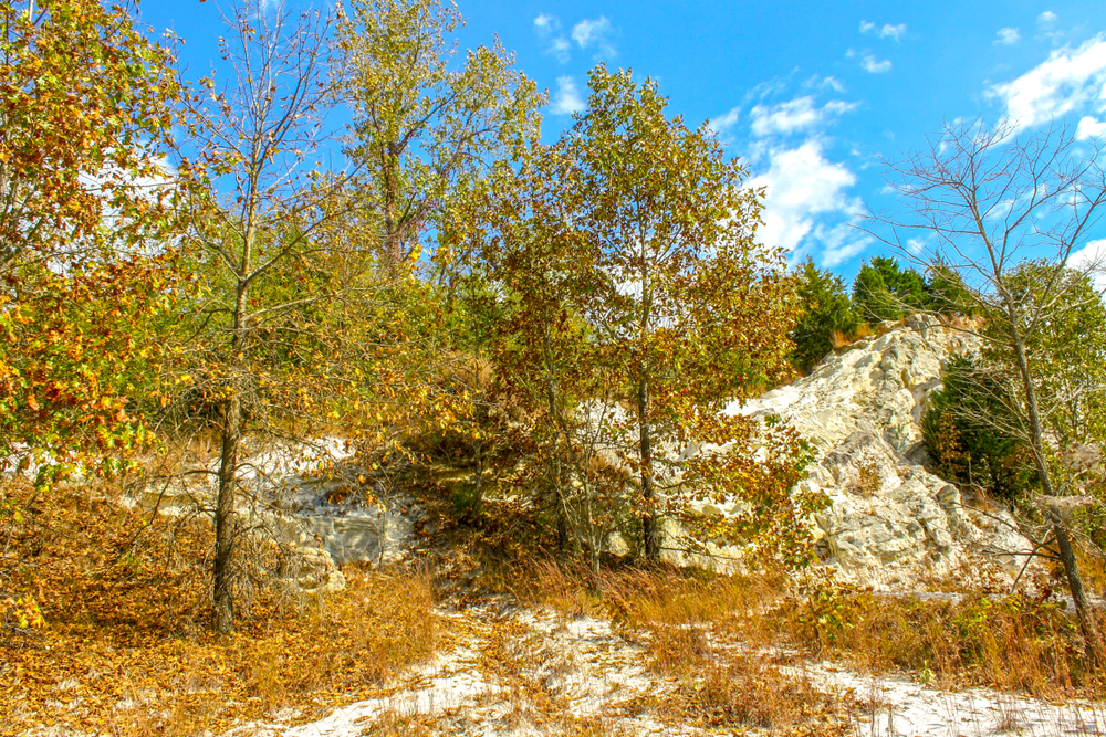 5 Reasons To Visit Charming Augusta, Missouri