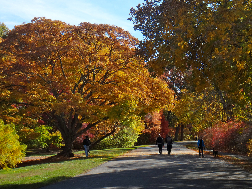 The Best Fall Foliage Road Trip In Massachusetts | TravelAwaits