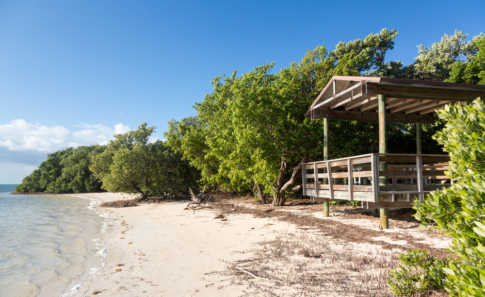 9 Fantastic Things To Do In Islamorada, Florida | TravelAwaits
