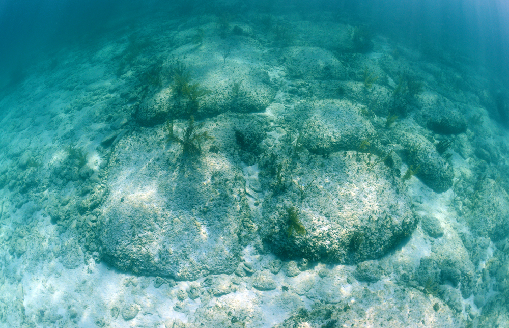 11 Things to Do in Bimini Bahamas | For a Dream Vacation - TravelAwaits