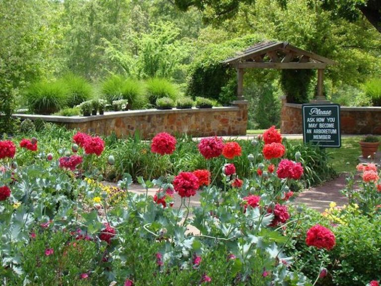How To Spend A Perfect Day In Athens, TX | TravelAwaits
