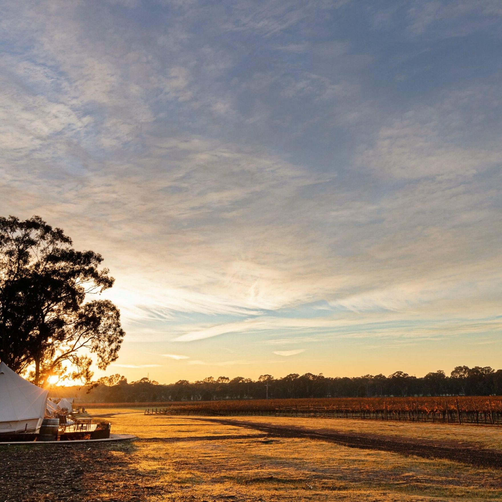 8 Great U.S. Glamping Spots On Any Budget | TravelAwaits