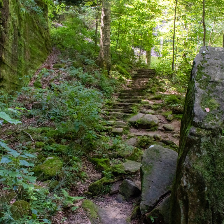 7 Best Hikes To Experience In Southern Illinois