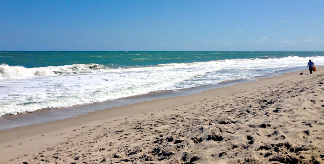 What to Do in Vero Beach, Florida | 12 Fabulous Experiences - TravelAwaits