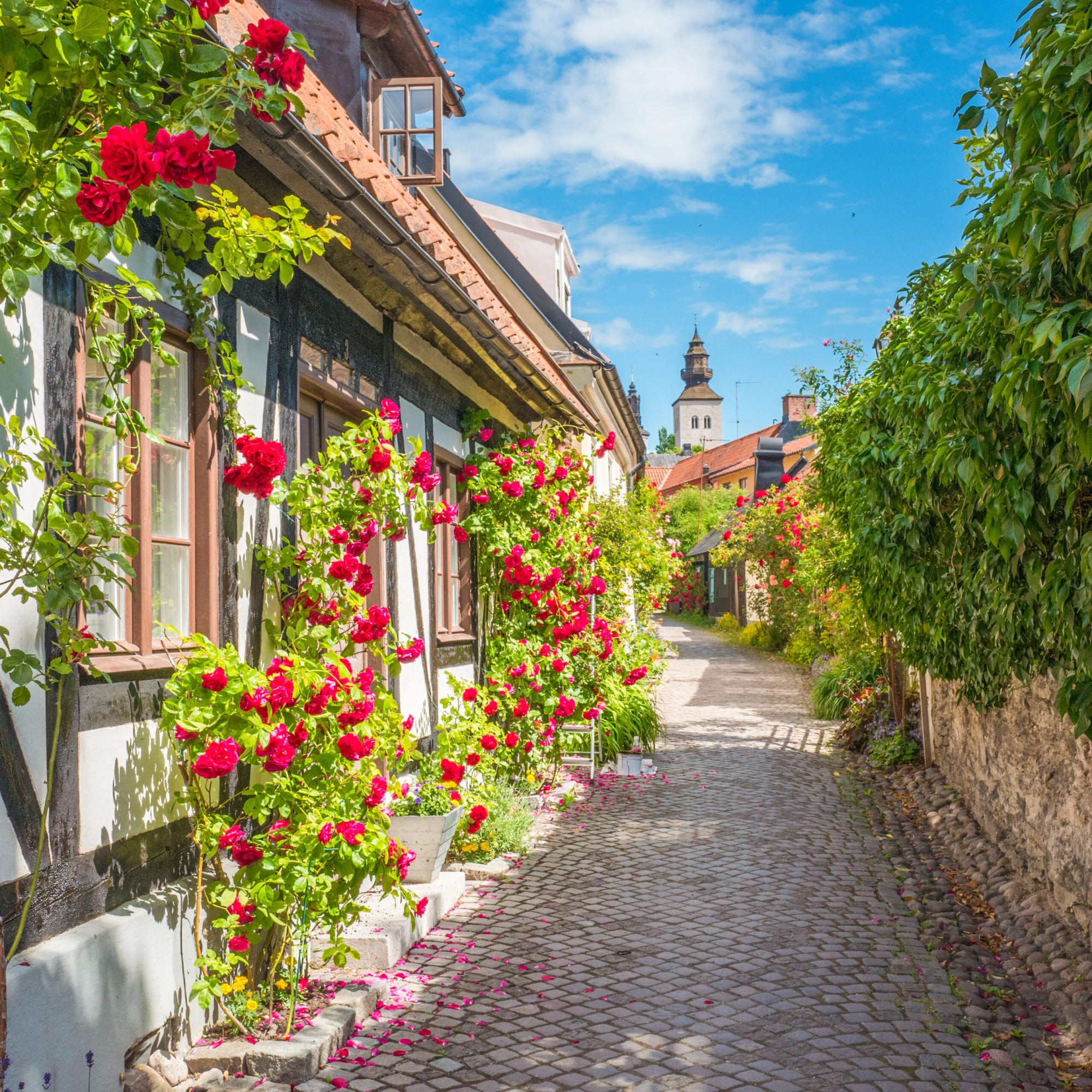 11 Most Beautiful Places In Sweden You Must Visit - TravelAwaits
