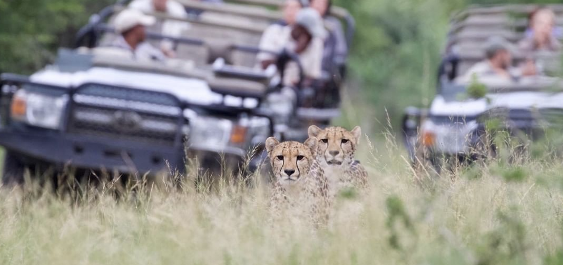 16 Travel-Inspired Virtual Classes And Experiences To Check Out This ...