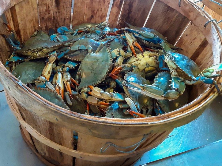 8 Amazing Virginia Foods To Try And Where To Find Them