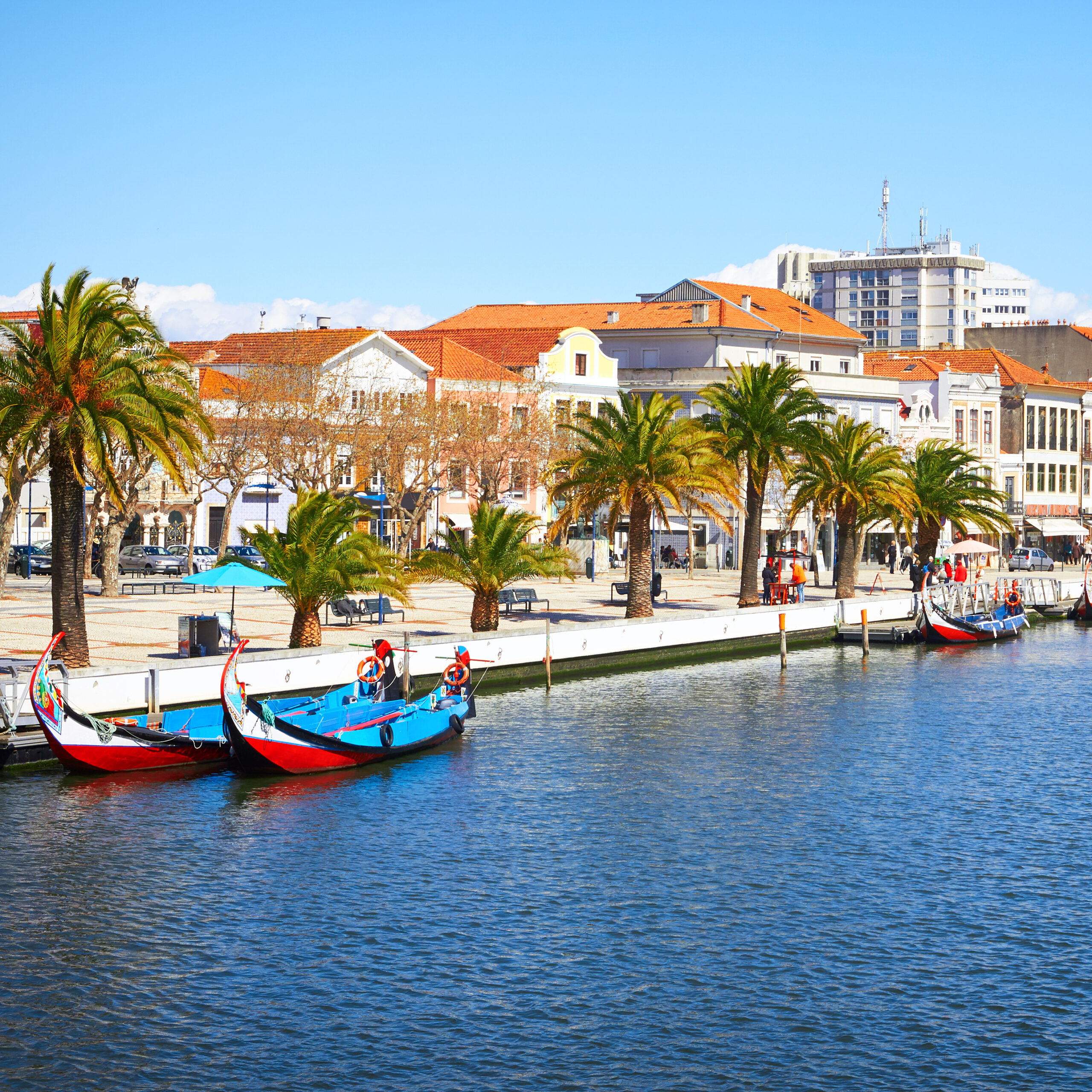 Why Aveiro, The Venice of Portugal, And Costa Nova Are Must-Visit ...