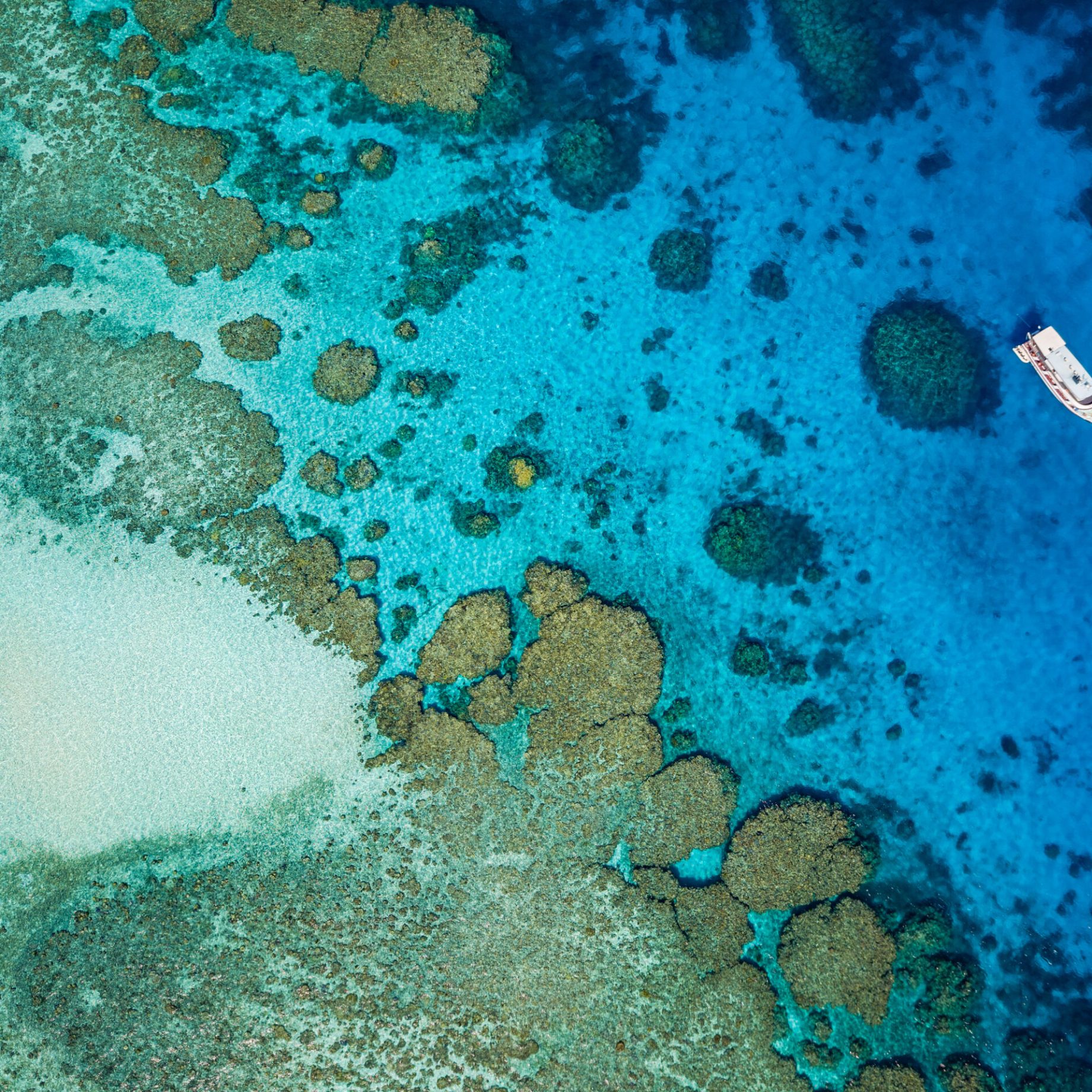 9 Best Islands Of The Great Barrier Reef | TravelAwaits