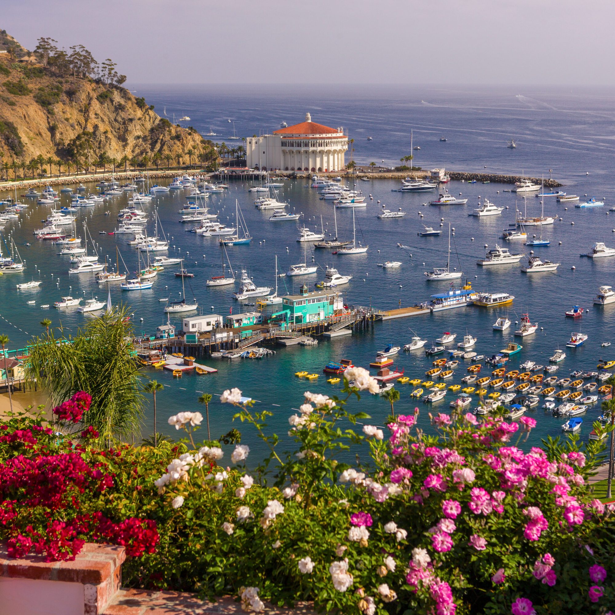 How To Spend A Day On Catalina Island