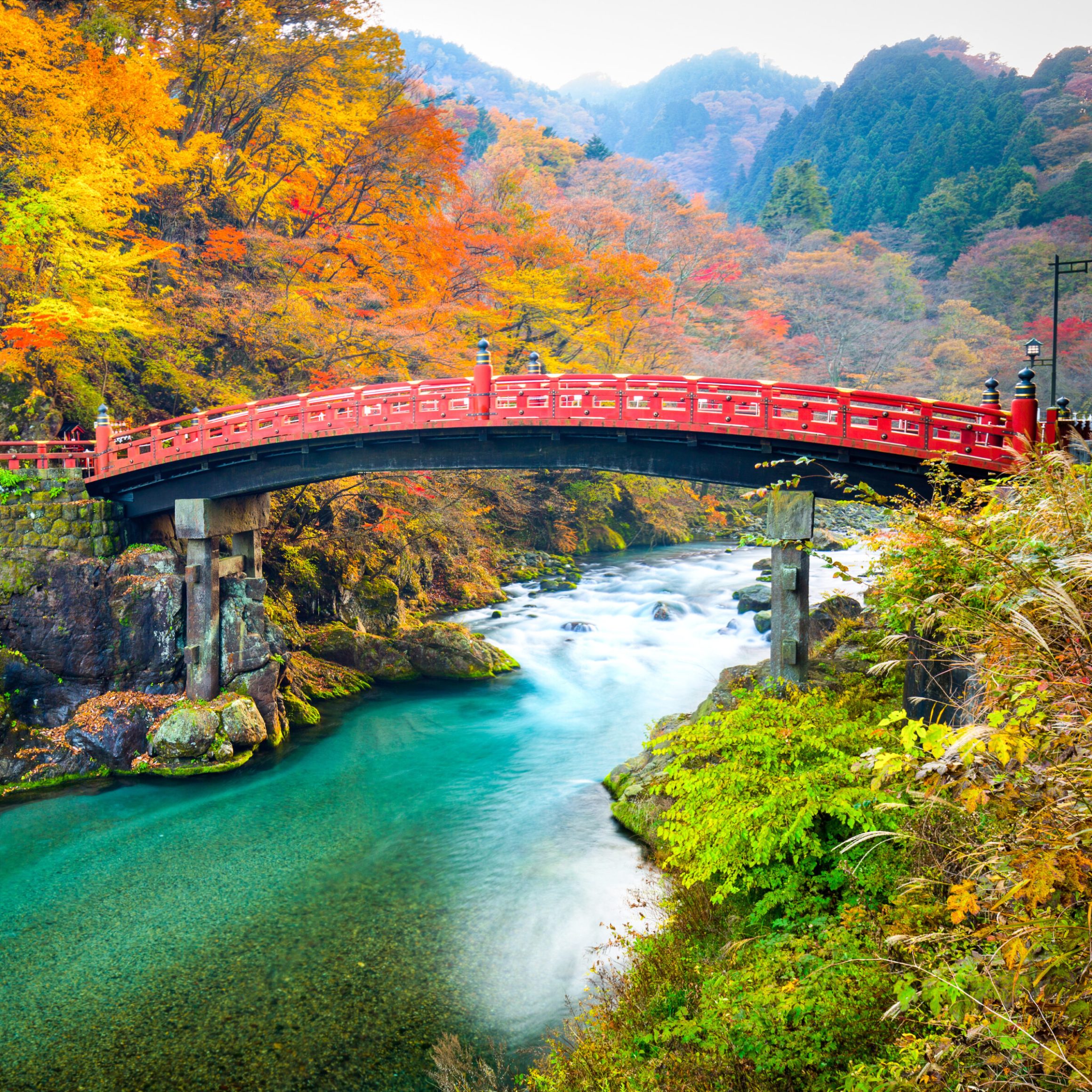 5 Best Day Trips Outside Of Tokyo, Japan | TravelAwaits