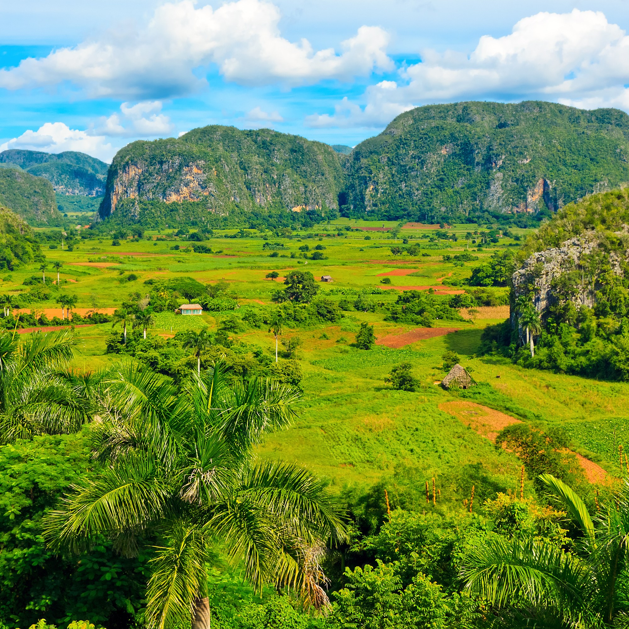 Visiting Vinales, Cuba: 8 Things To See And Do