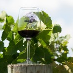 Best Things To Do Along The Shawnee Wine Trail