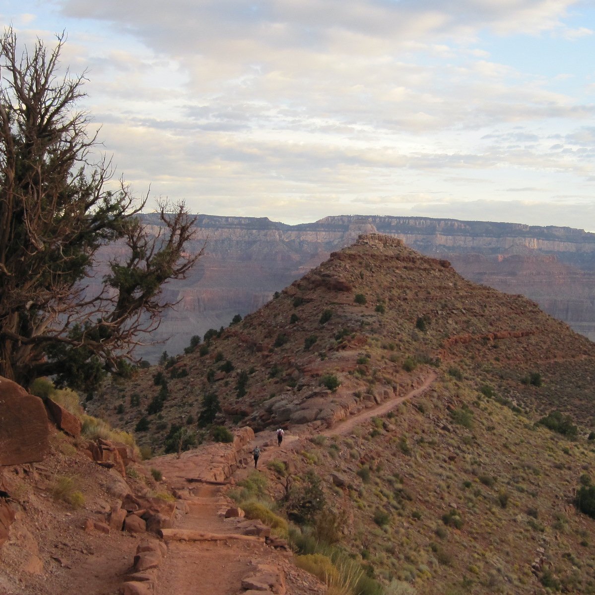 Grand Canyon North Rim vs South Rim: 10 Key Differences - TravelAwaits