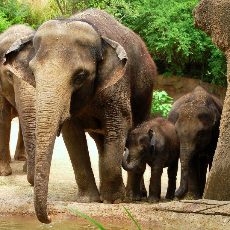 10 Zoos To Visit In The Midwest