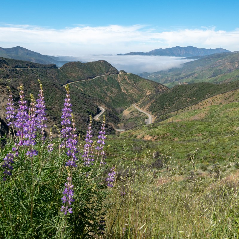 How To Spend A Perfect Weekend In Quaint Ojai, California