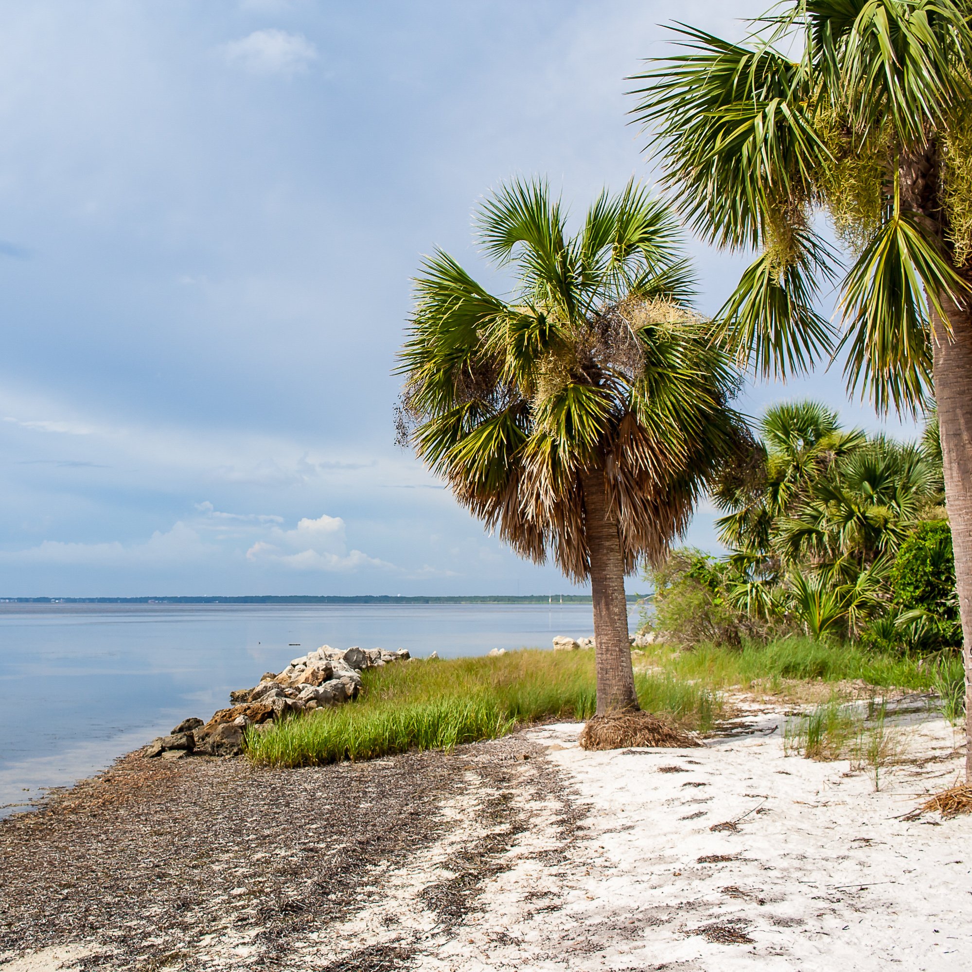 10 Things to Do in Port St. Joe, Florida | Memories You'll Cherish ...