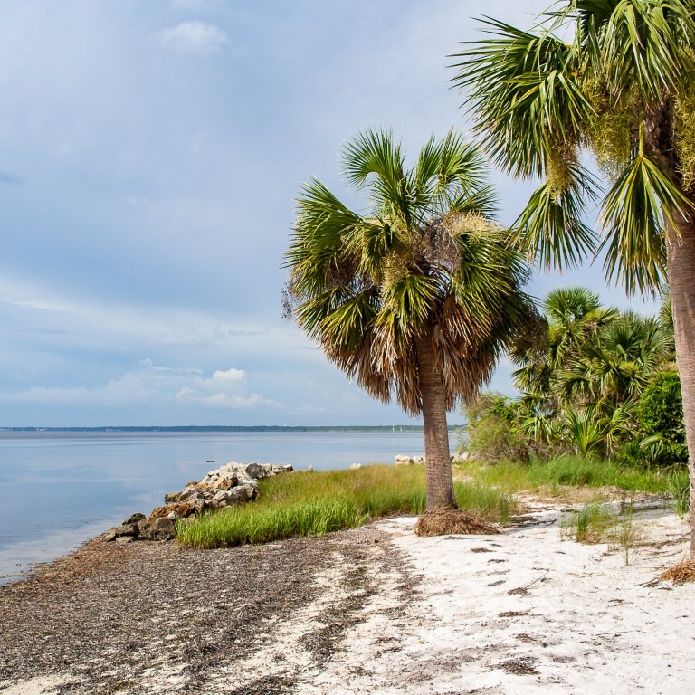 10 Things to Do in Port St. Joe, Florida | Memories You'll Cherish ...