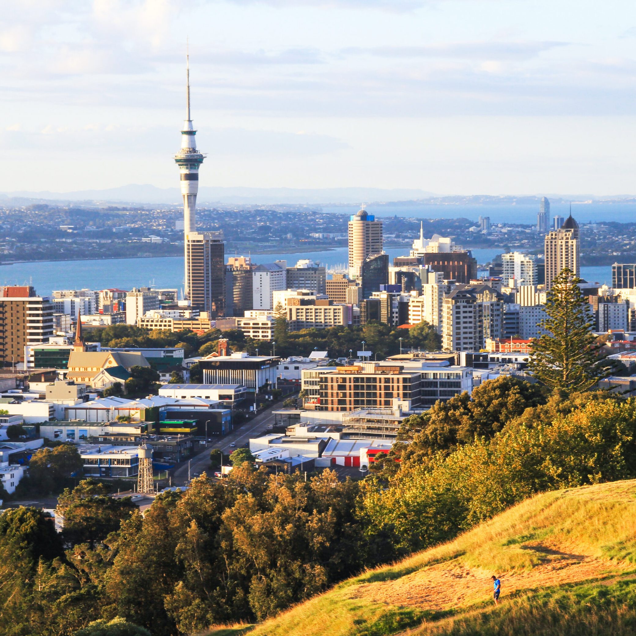 Exploring Auckland’s Best Hidden Gems | TravelAwaits