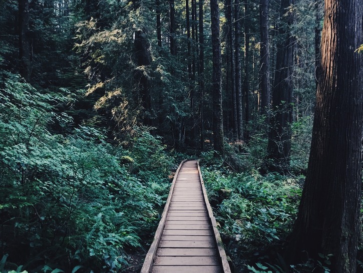 Viking Ruins & Enchanted Forests: 13 Unexpected Canadian Adventures ...