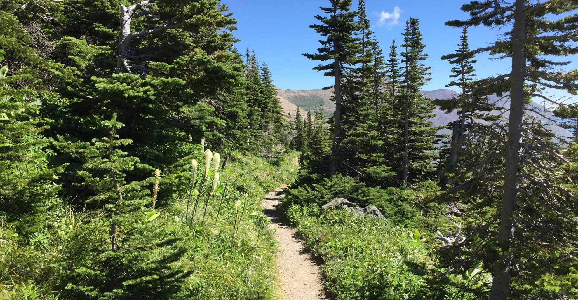 East vs West Glacier National Park | 7 Key Things To Know - TravelAwaits