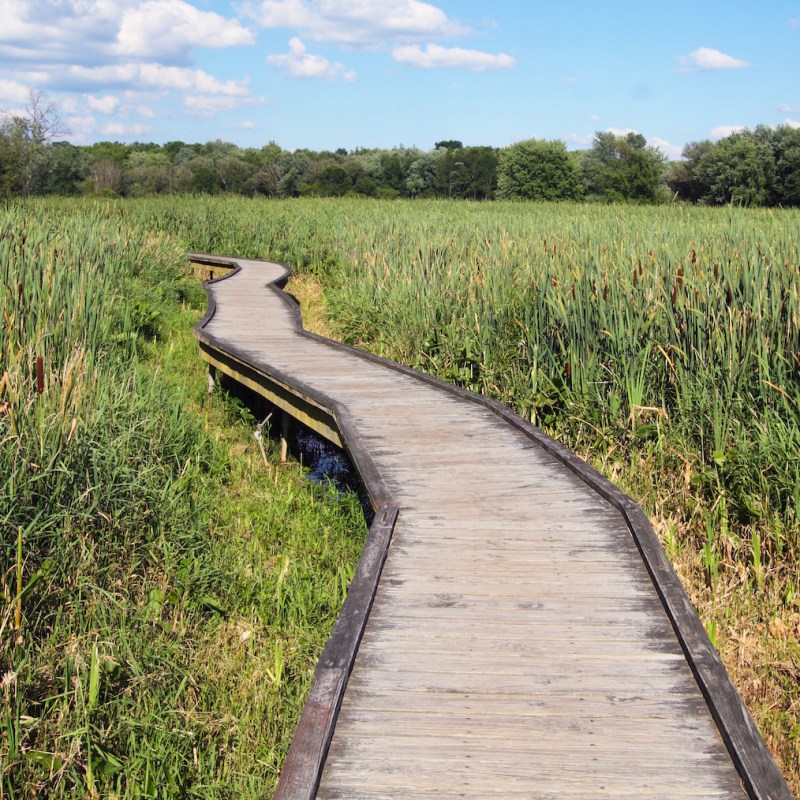 9 Best Hikes To Experience In New Jersey