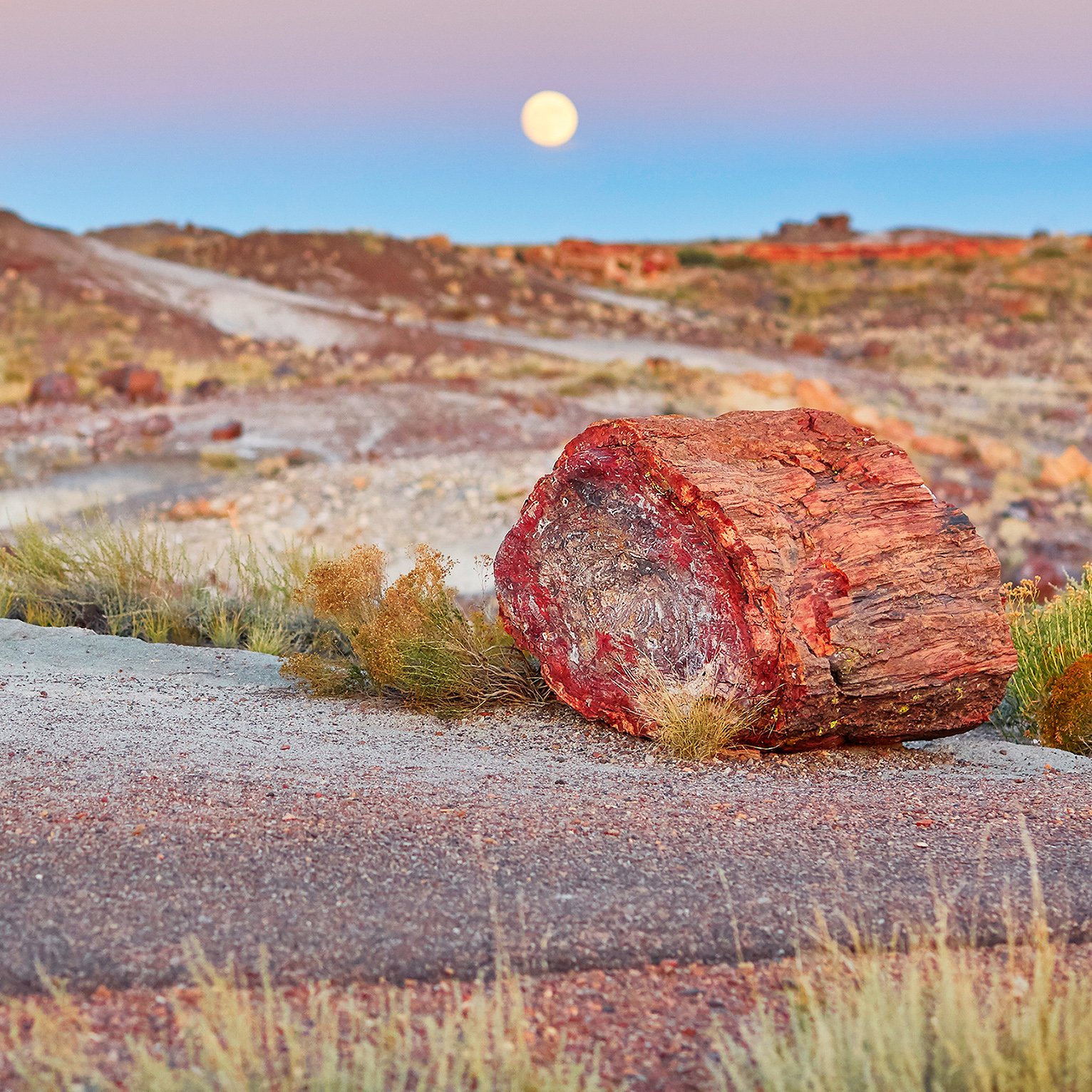 How To Spend A Day At Arizona's Petrified Forest National Park