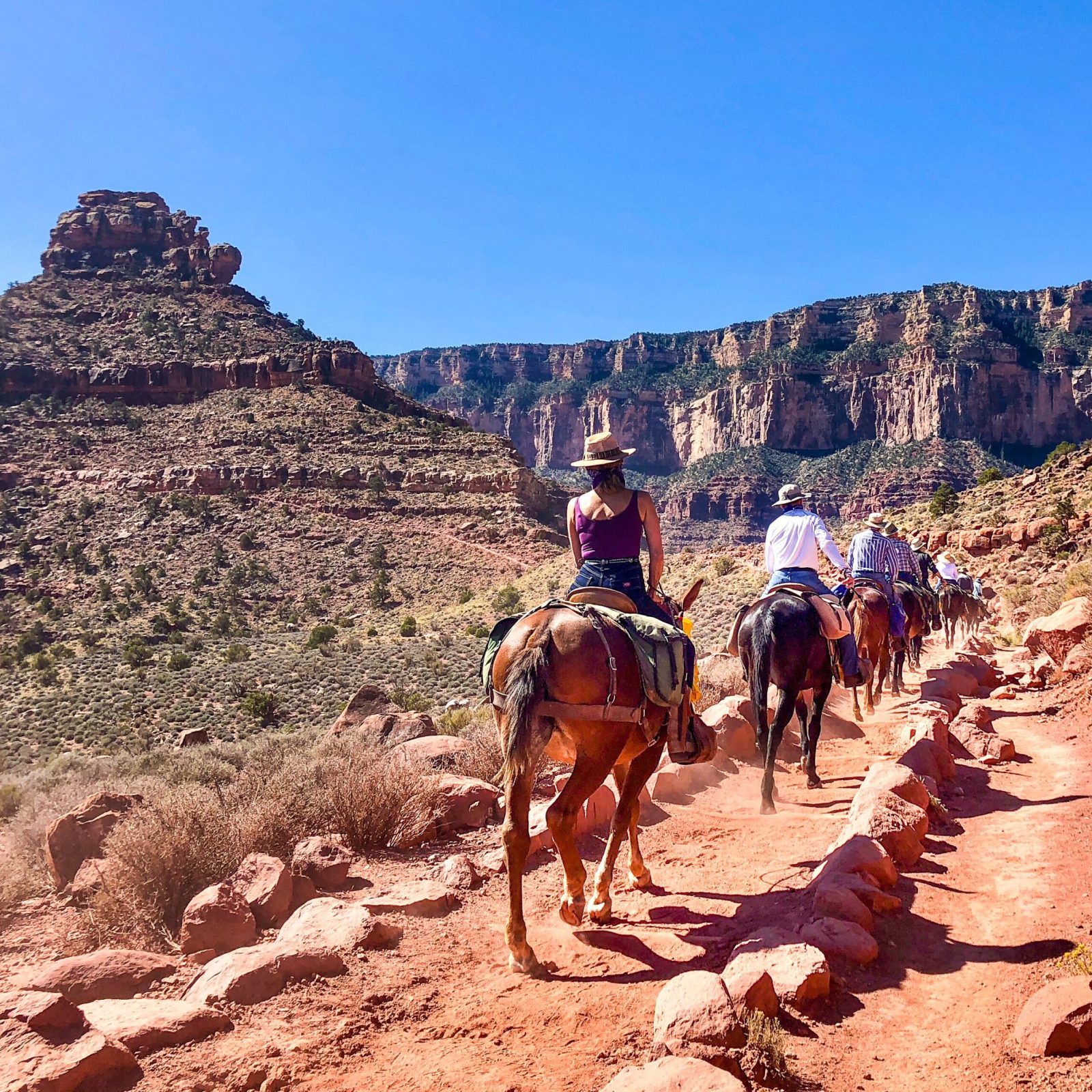 15 Truly Unique Experiences To Have In Arizona