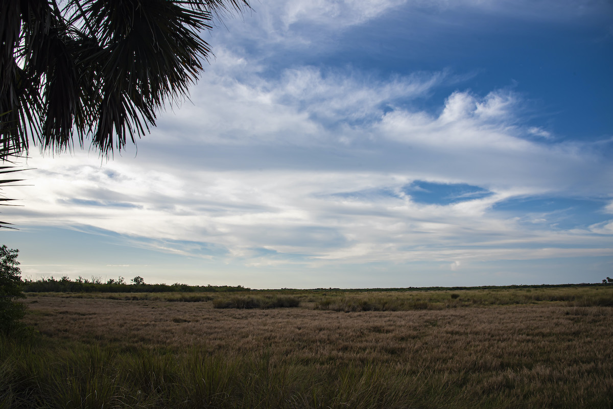 14 Must-See Sites When Visiting Alligator Alley in Florida - TravelAwaits