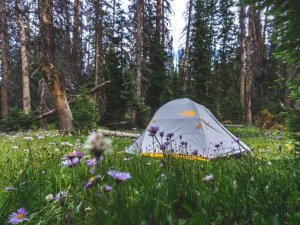 How To Avoid Ticks While Camping And Traveling