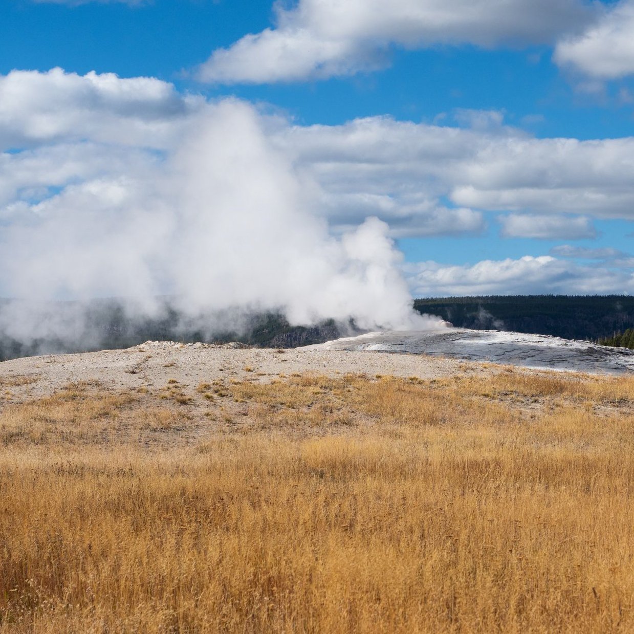 Fabulous Reasons To Visit Yellowstone National Park In The Fall