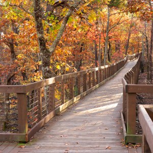 8 Best Spots To View Fall Foliage In Alabama | TravelAwaits