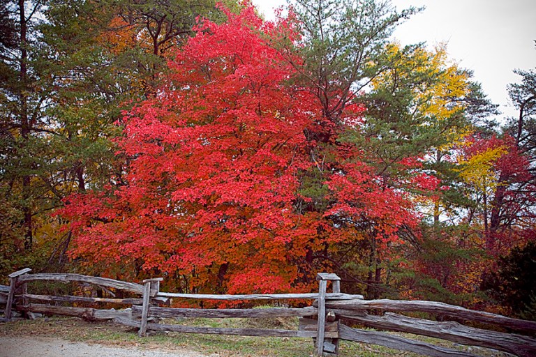 8 Best Spots To View Fall Foliage In Alabama | TravelAwaits