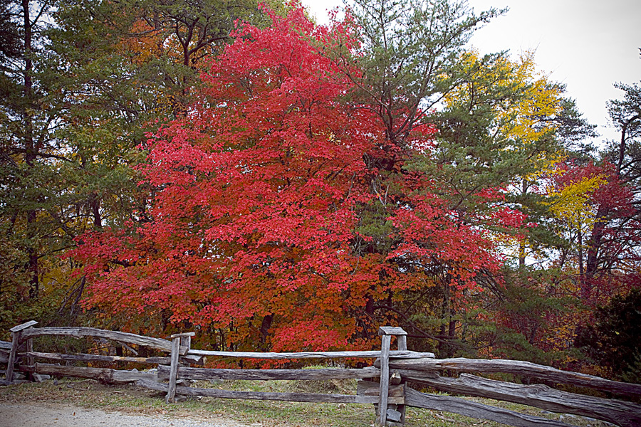 8 Best Spots To View Fall Foliage In Alabama | TravelAwaits