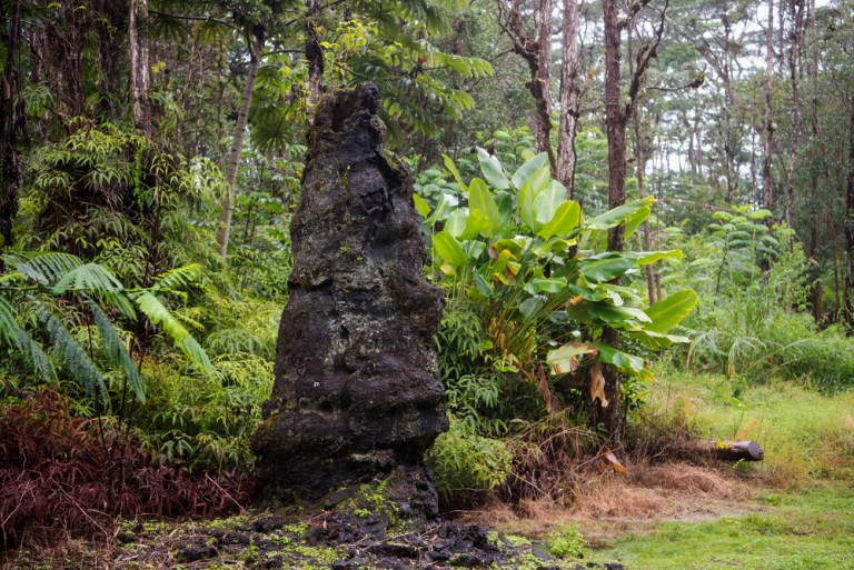 9 Tips For Visiting Lava Tree State Monument | TravelAwaits