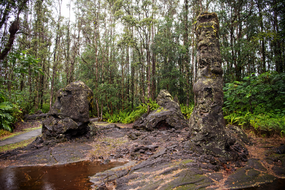 9 Tips For Visiting Lava Tree State Monument | TravelAwaits