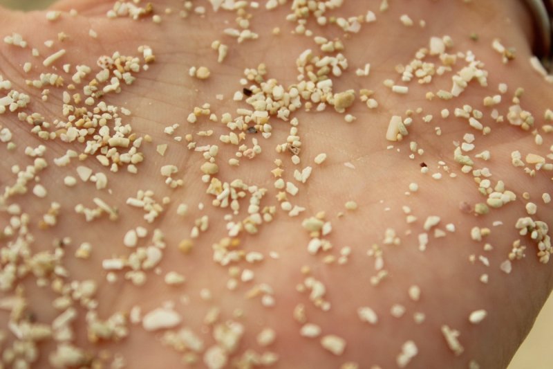 The Truth Behind Each Okinawa Star Sand Beach in Japan - TravelAwaits