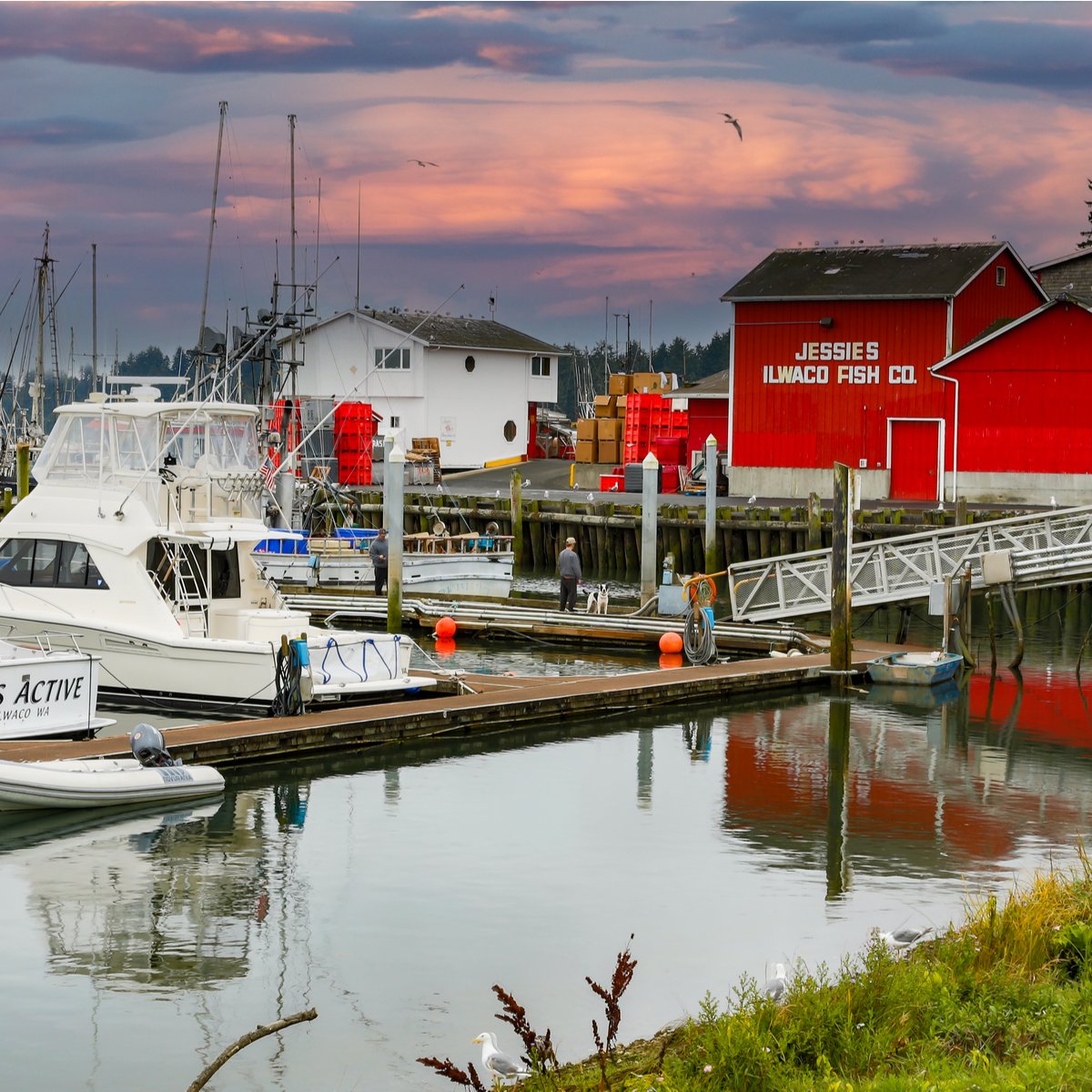 10 Coastal Washington State Towns Not To Miss