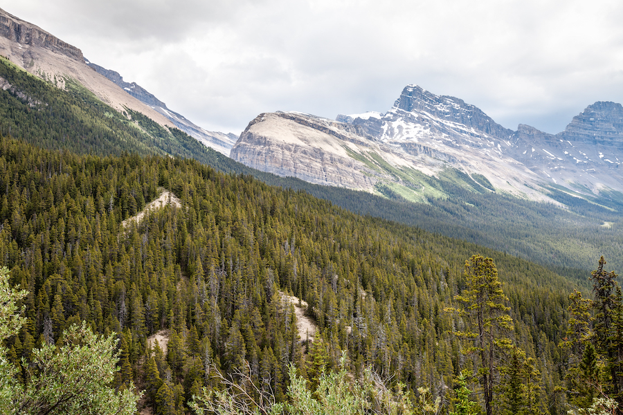 13 Scenic Road Trips To Experience In Canada In 2023 | TravelAwaits