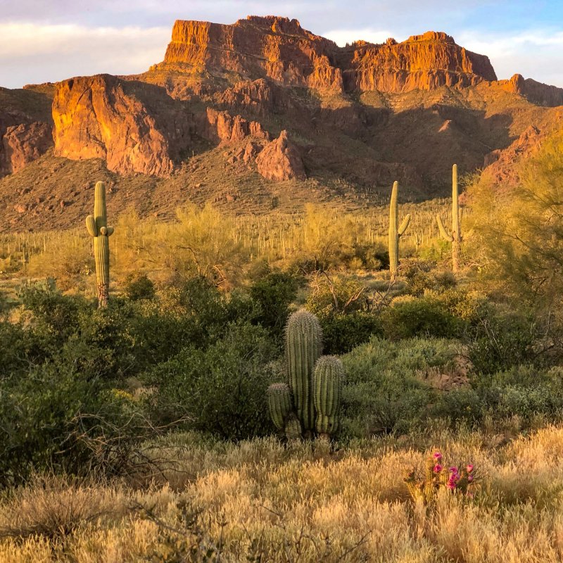 9 Incredible Things To Do In Charming Surprise, AZ