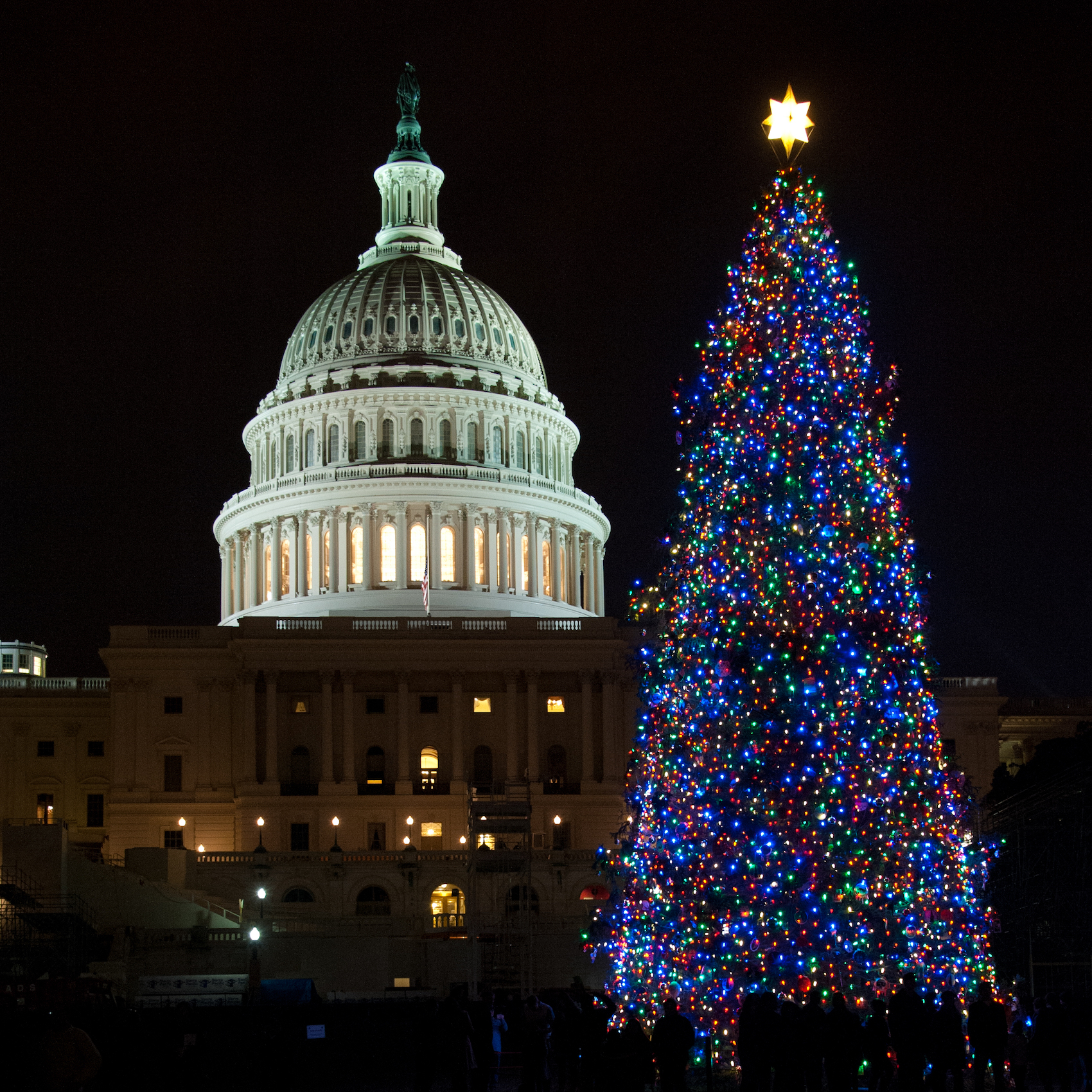 The Most Beautiful Virtual Christmas Light Displays In The U.S ...