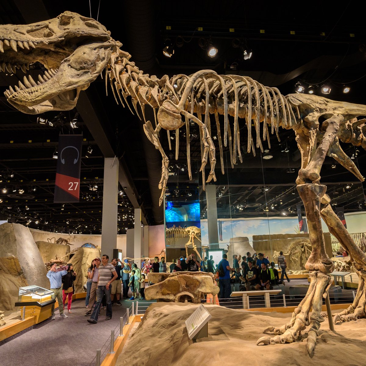 6 Best Places To Experience Dinosaurs In Canada
