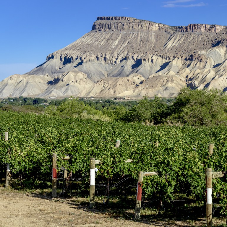 8 Best Experiences In Colorado's Wine Country