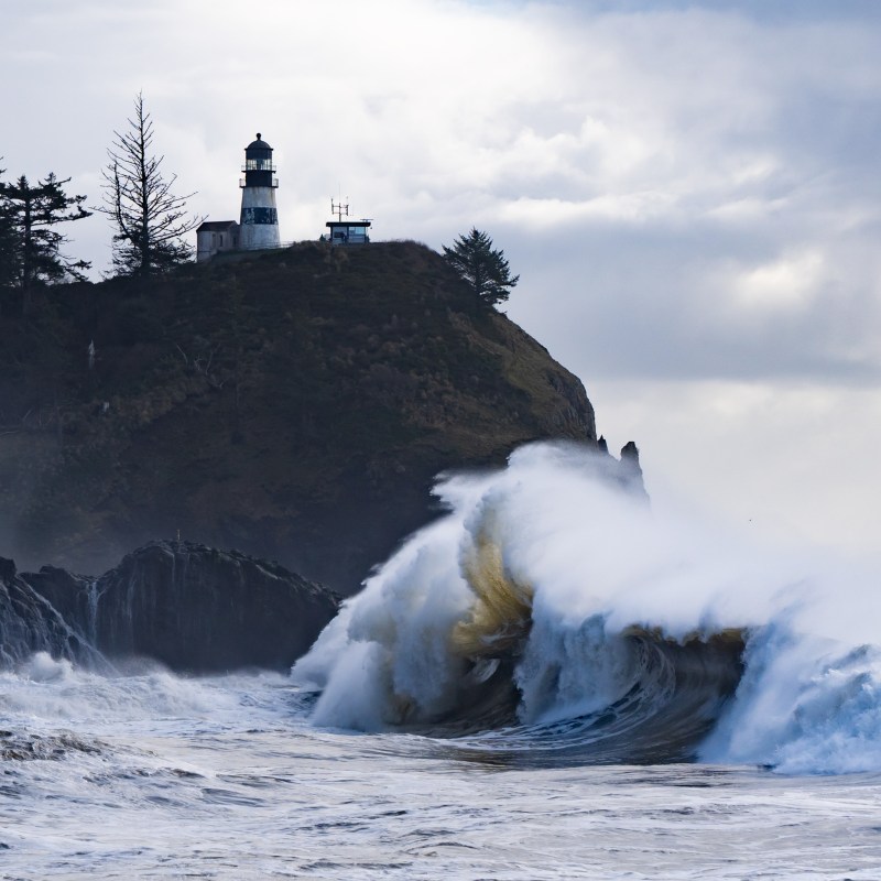 8 Fantastic Experiences On Washington State's Long Beach Peninsula