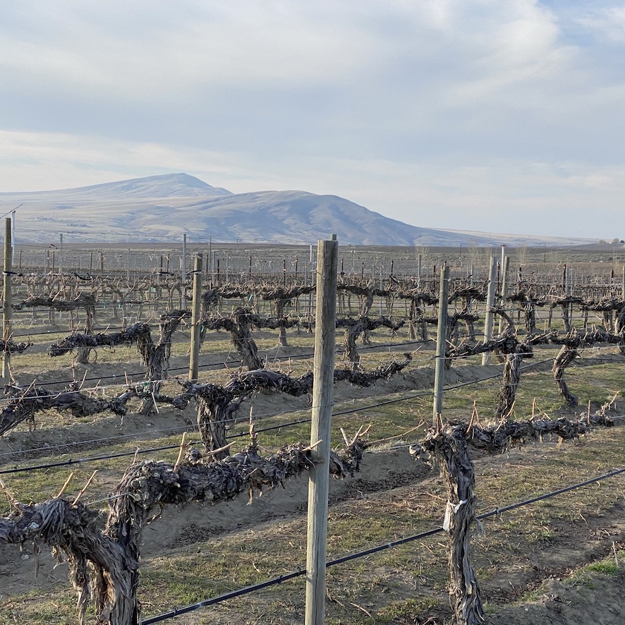 6 Washington State Wineries You Should Know | TravelAwaits