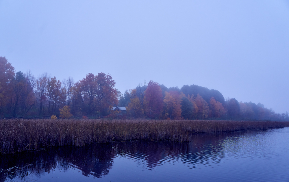 Mer Bleue Bog: Canada's Most Unique Ecosystem | TravelAwaits