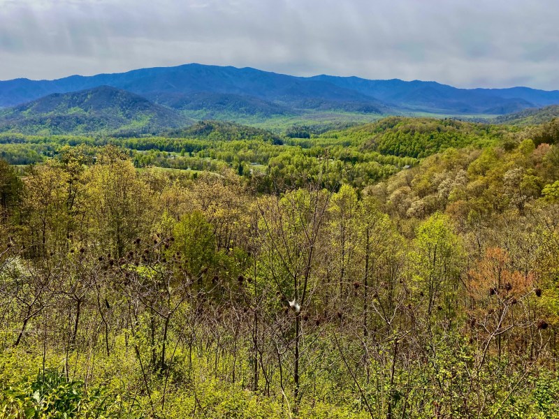 4 Beautiful Drives In East Tennessee | TravelAwaits