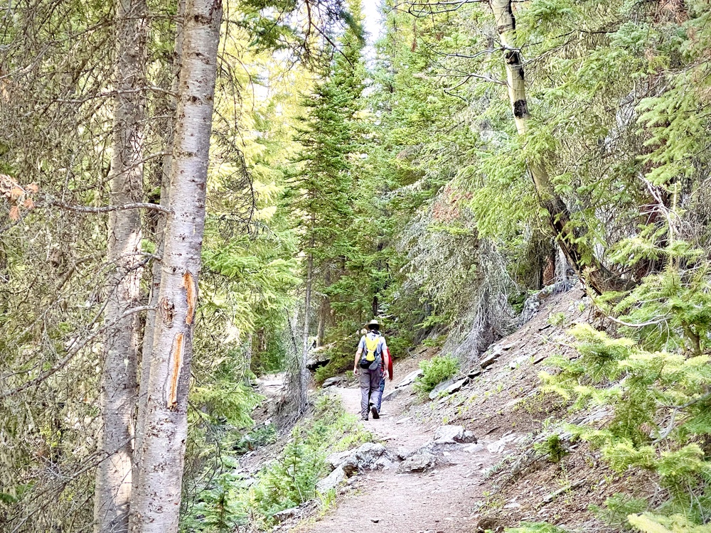 Hiking Lulu City In Rocky Mountain National Park | TravelAwaits